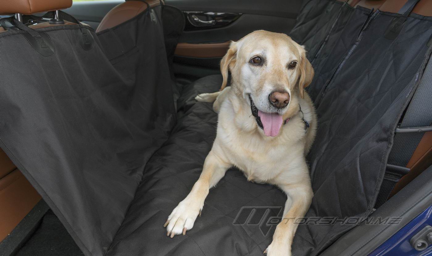 Nissan Rogue Dogue for Fido Friendly Family Adventures